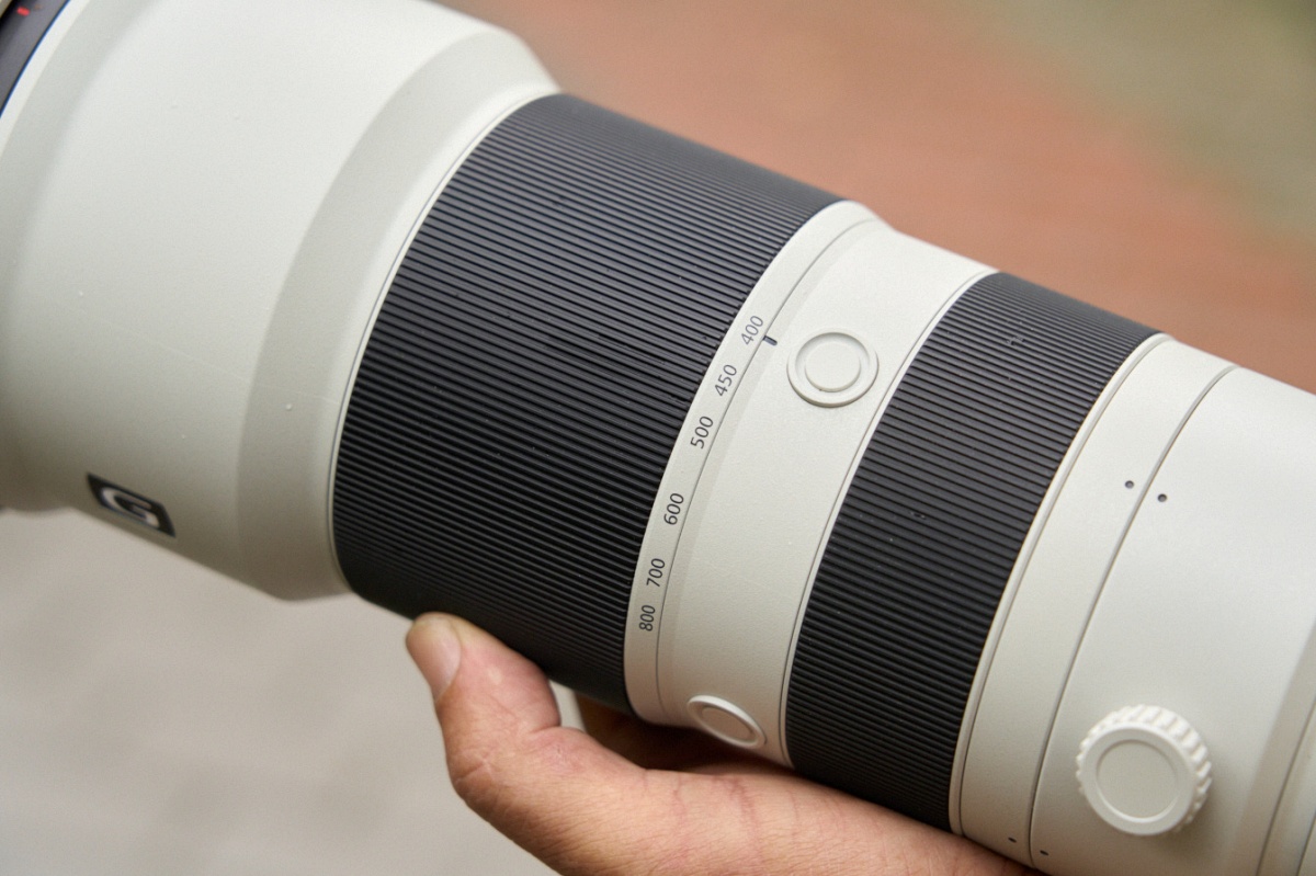 深度剖析 Sony SEL400800G，紀錄片導演梁皆得如何善用它來拍攝鳥類？ | T客邦