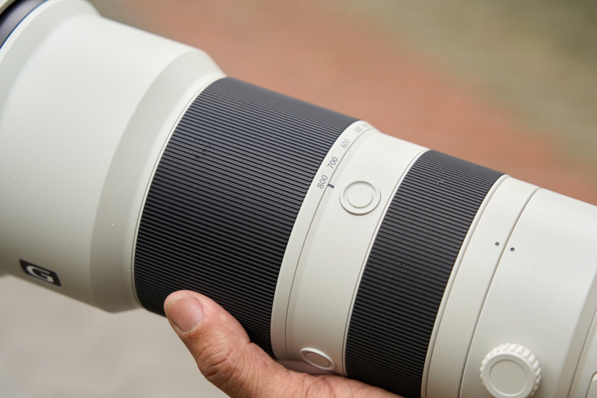 深度剖析 Sony SEL400800G，紀錄片導演梁皆得如何善用它來拍攝鳥類？ | T客邦